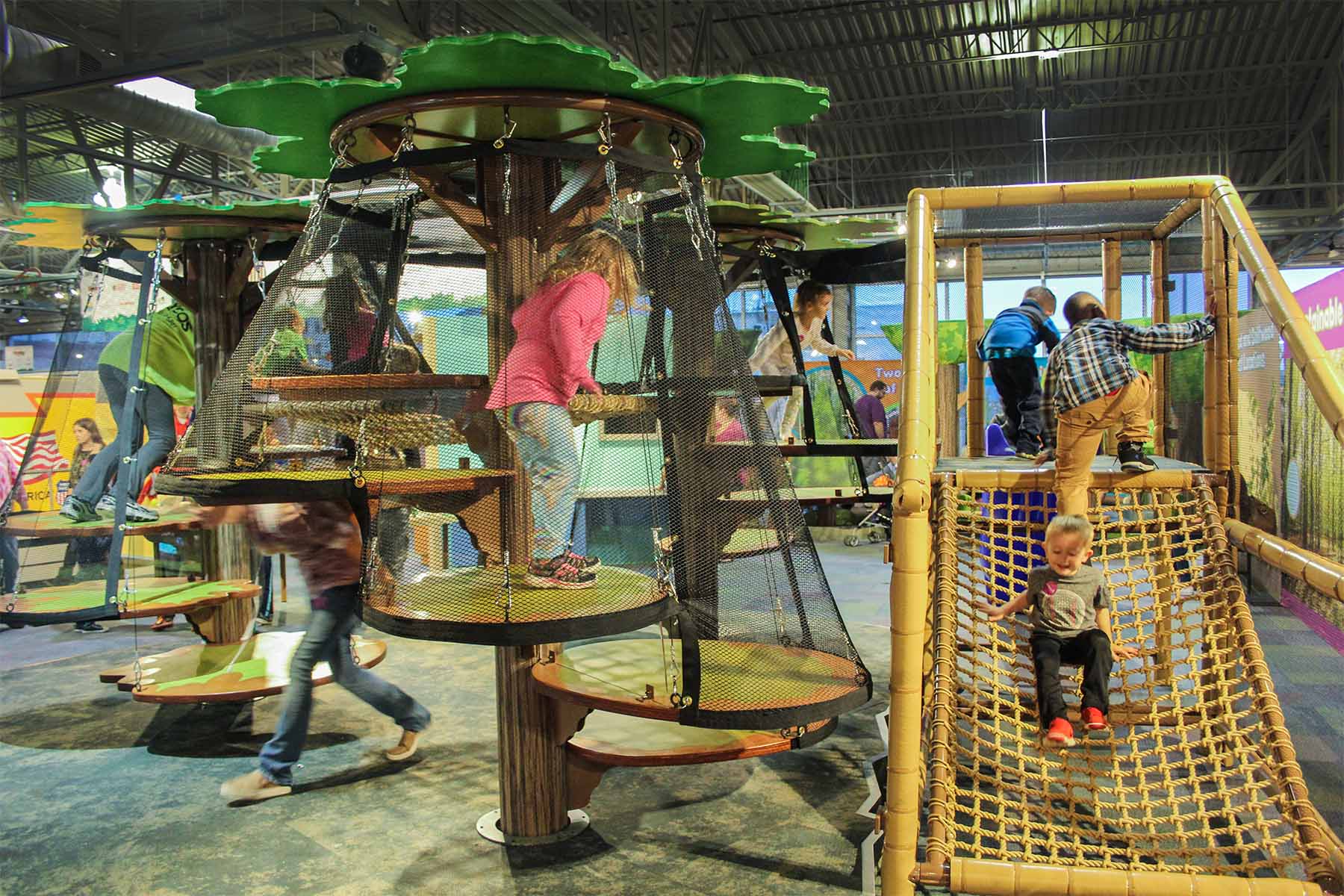 Forever Forest Traveling Experience